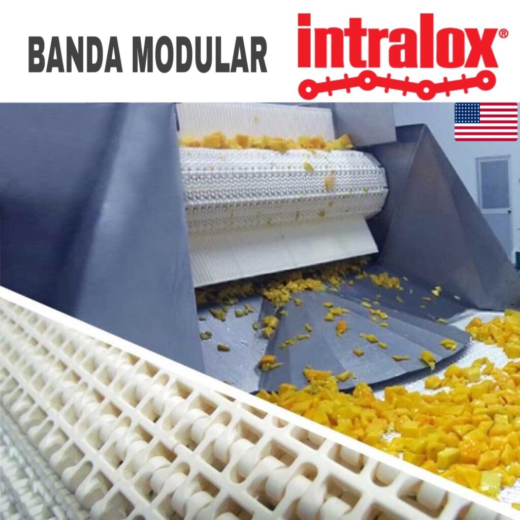 Banda Modular Intralox Serie 900 | CODIZA